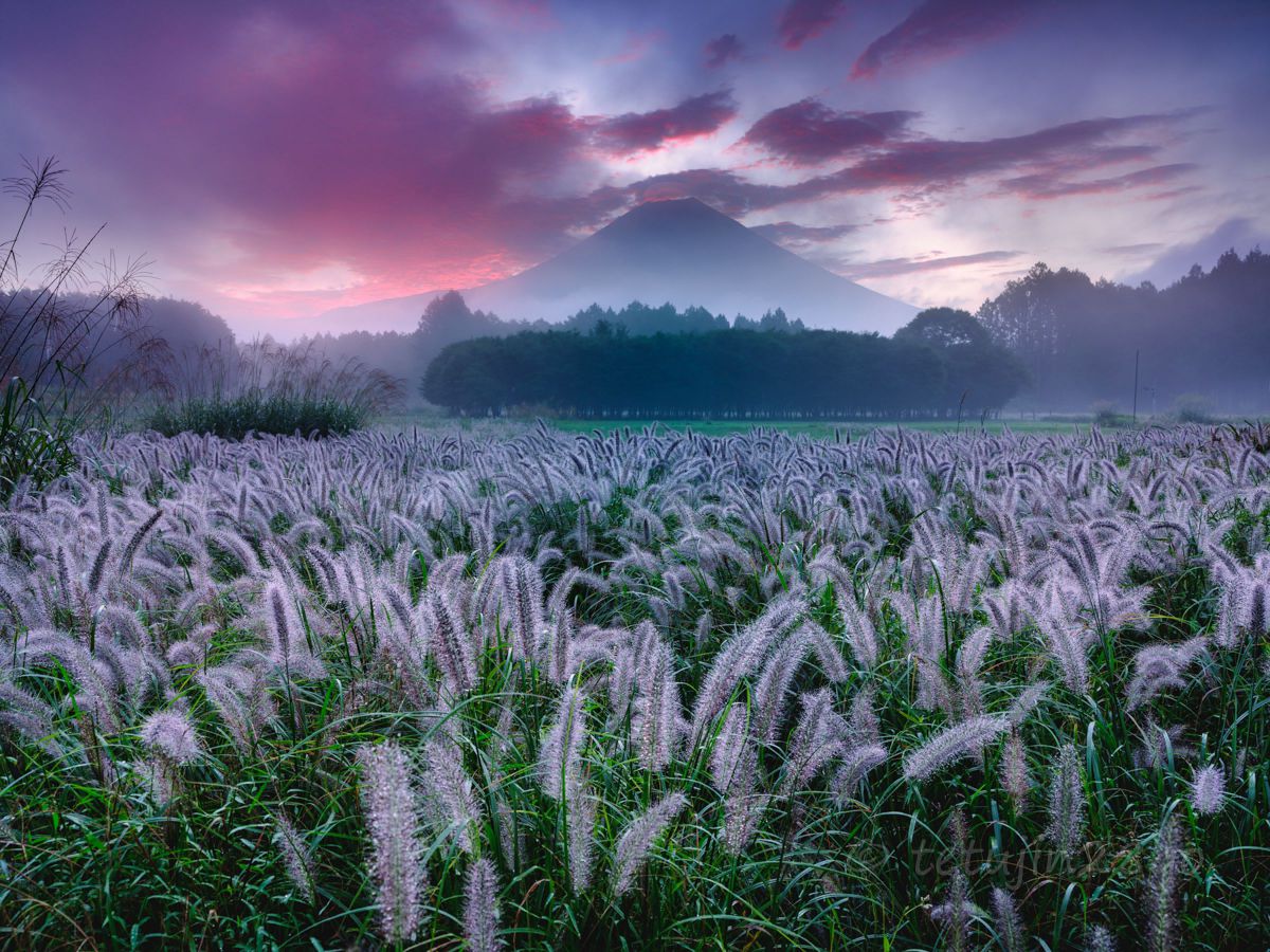 霧晴れて | GANREF