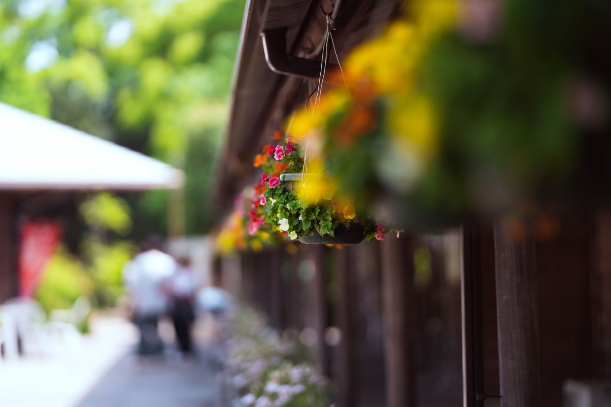 プラントポット | GANREF