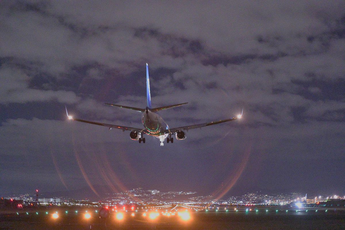 Super-Multi-Coated TAKUMAR 1.8/55 開放 | GANREF