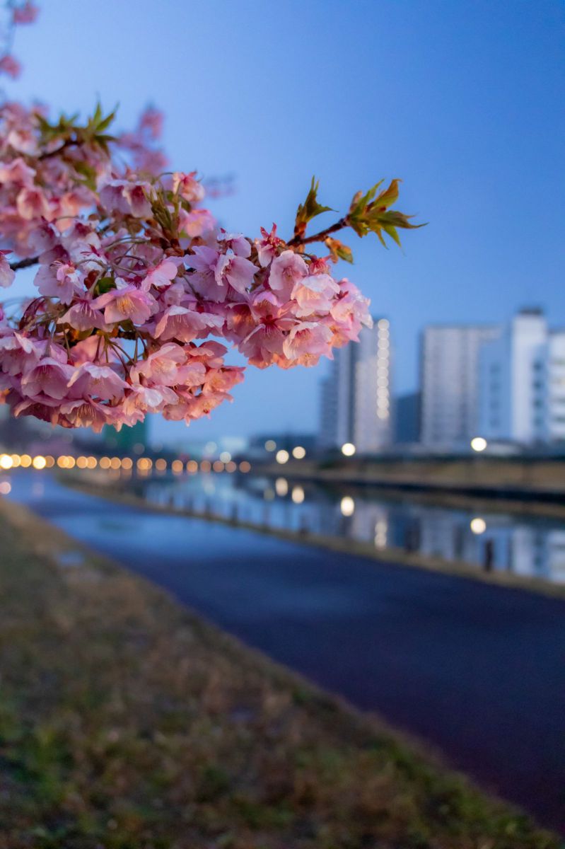 夜明け前 | GANREF