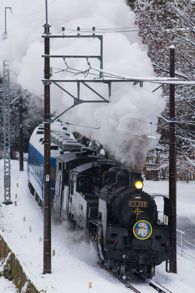 東武鉄道鬼怒川線 C11 325 SL大樹 2 | GANREF