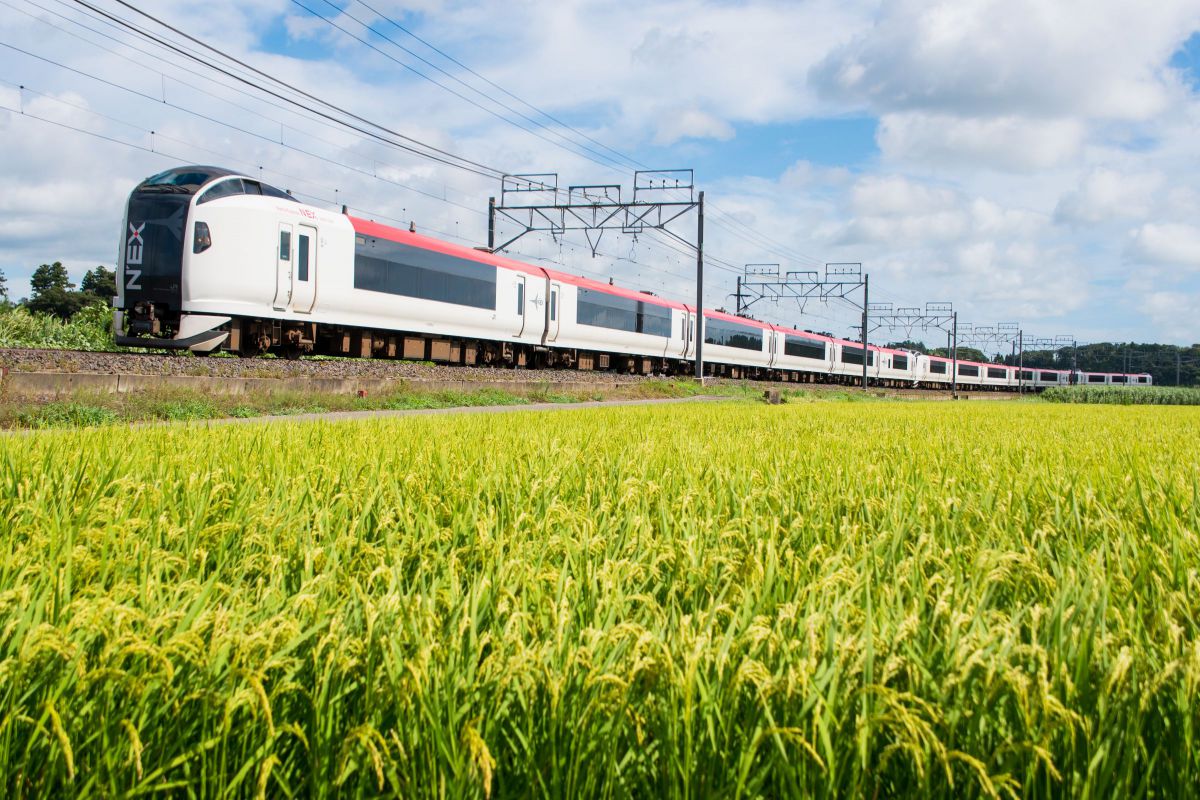 JR総武本線 E259系 成田エクスプレス | GANREF