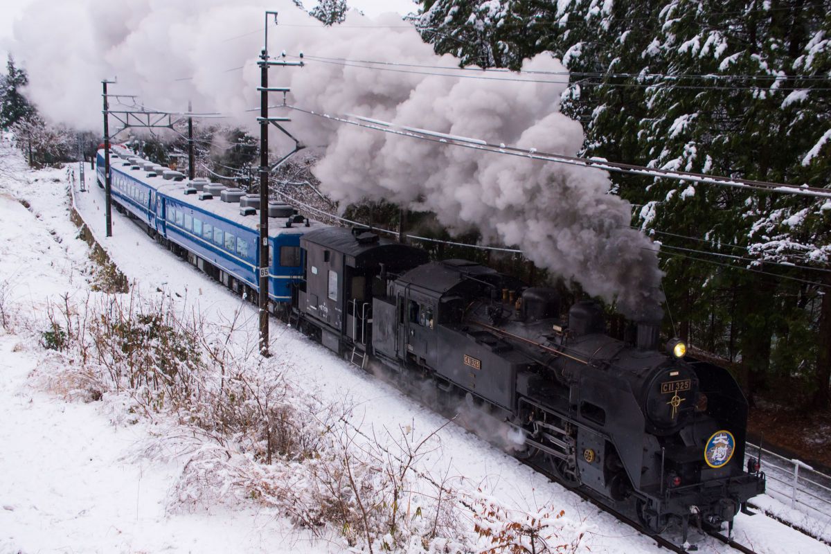 東武鉄道鬼怒川線 C11 325 SL大樹 | GANREF