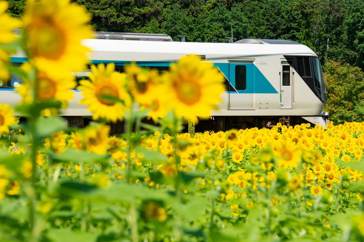 25.08.03-1 東武鉄道鬼怒川線 500系 リバティ | GANREF