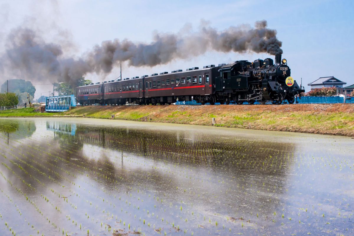 真岡鐵道 C12 66 SLもおか | GANREF