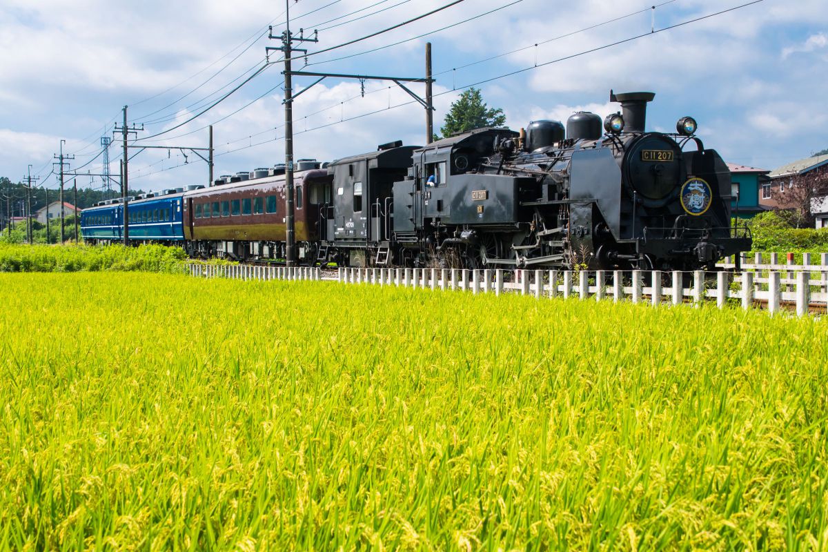 東武鉄道鬼怒川線 C11 207 SL大樹 | GANREF