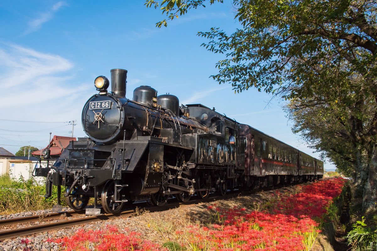 真岡鐵道 C12 66 SLもおか | GANREF