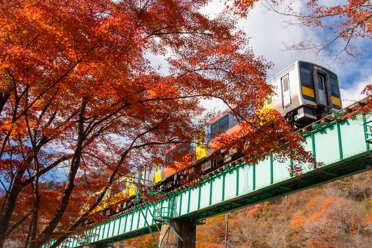 24.11.23-2 JR水郡線 キハE130系 | GANREF