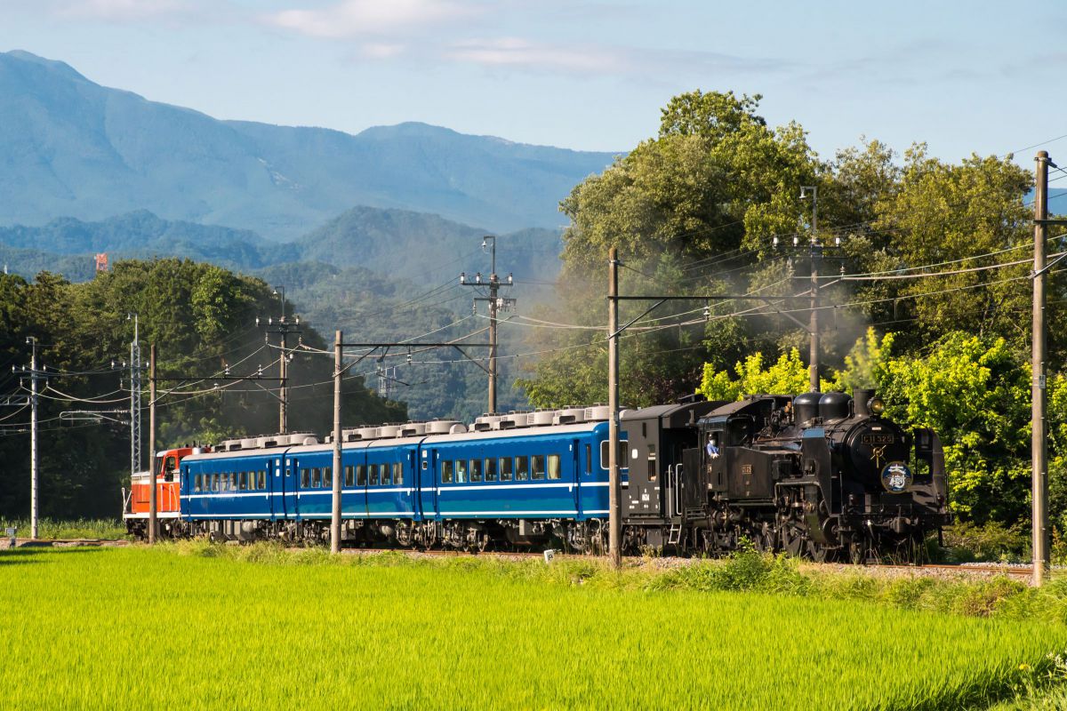 東武鉄道鬼怒川線 C11 325 SL大樹 | GANREF