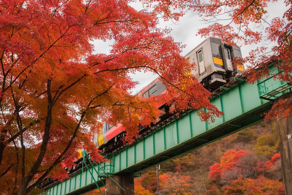 JR水郡線 キハE130系. | GANREF