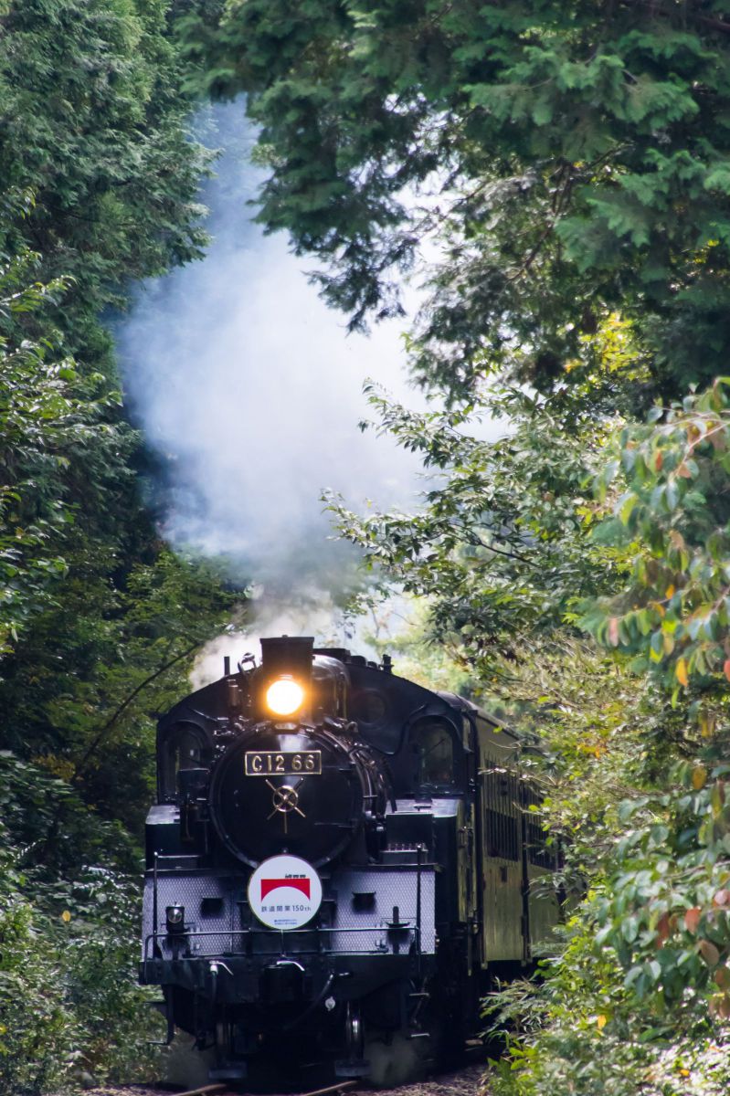 真岡鐵道 C12 66 SLもおか 4 | GANREF
