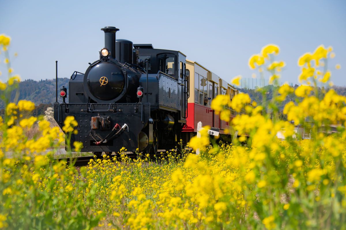 25.03.22-2 小湊鉄道 DB4形 | GANREF