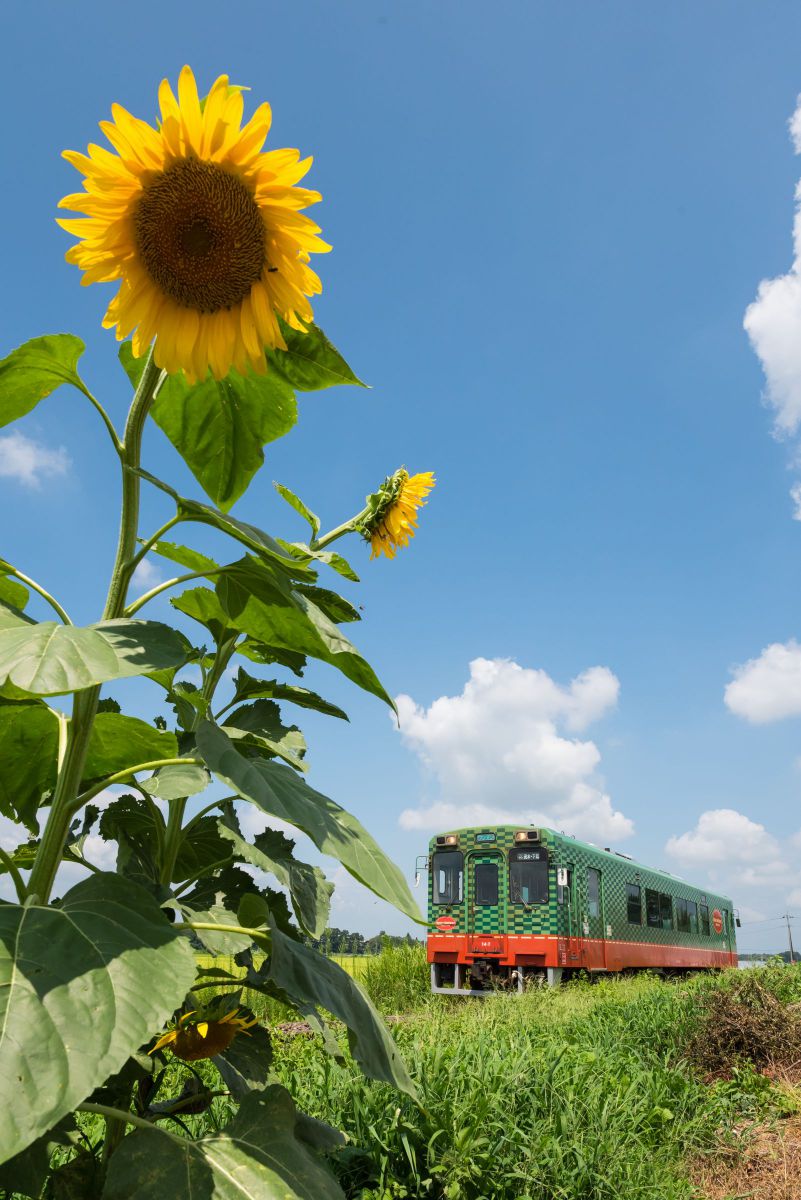 23.08.19-1 真岡鐡道 モオカ14形 | GANREF