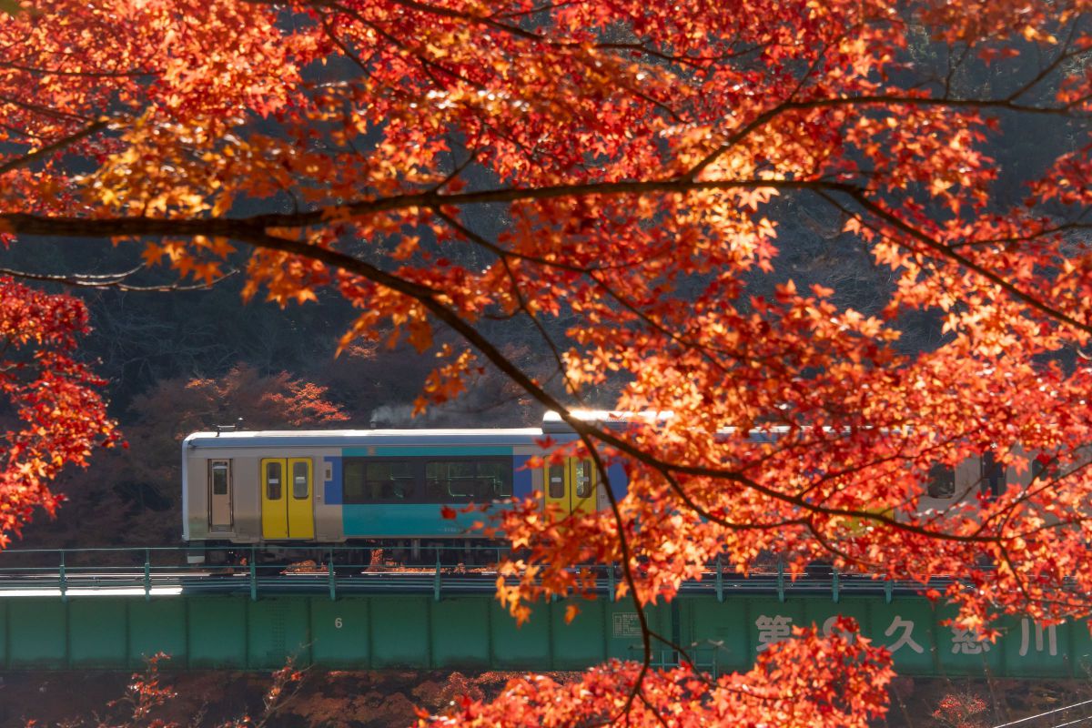 24.11.23-1 JR水郡線 キハE130系 | GANREF