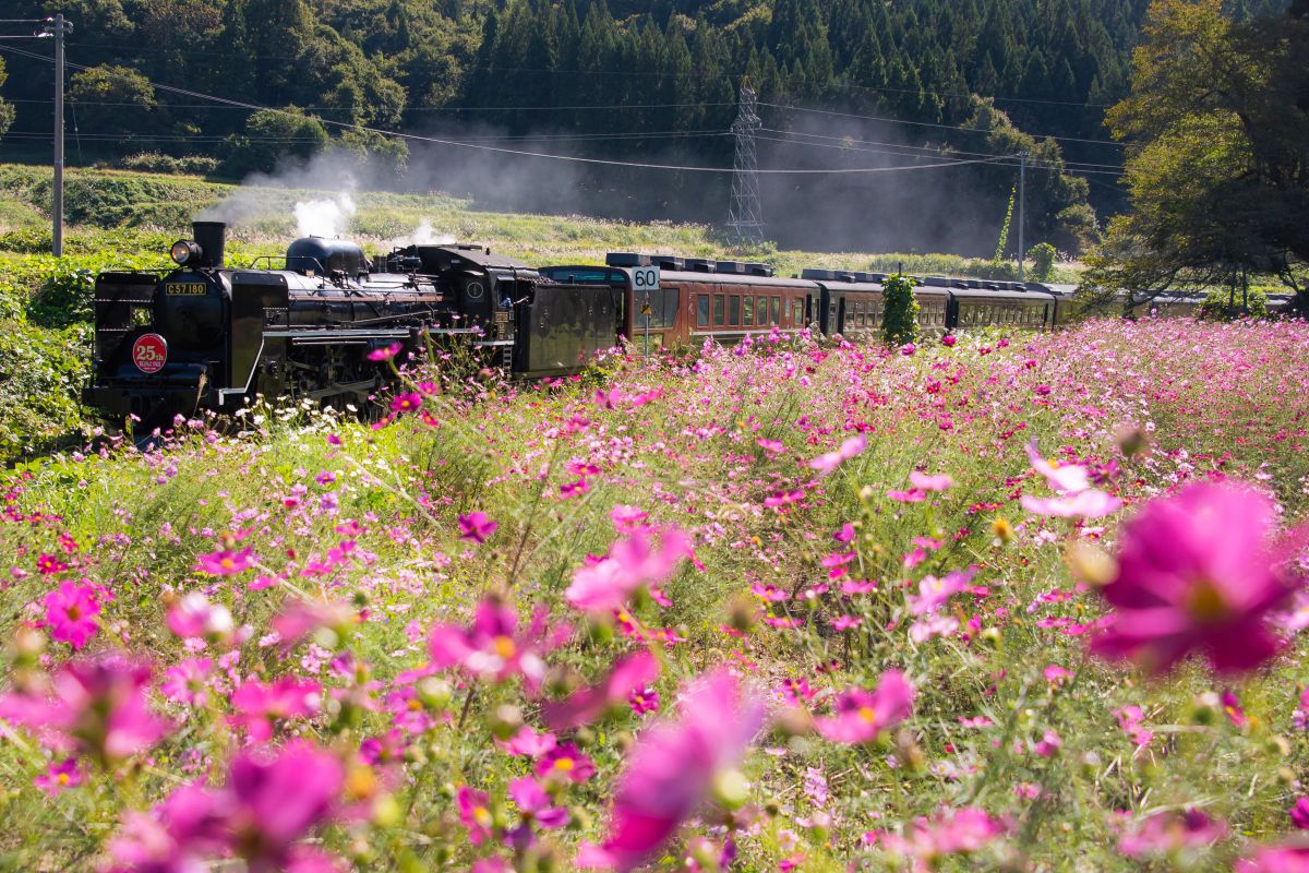 24.10.13-1 JR磐越西線 C57 180 SLばんえつ物語 | GANREF