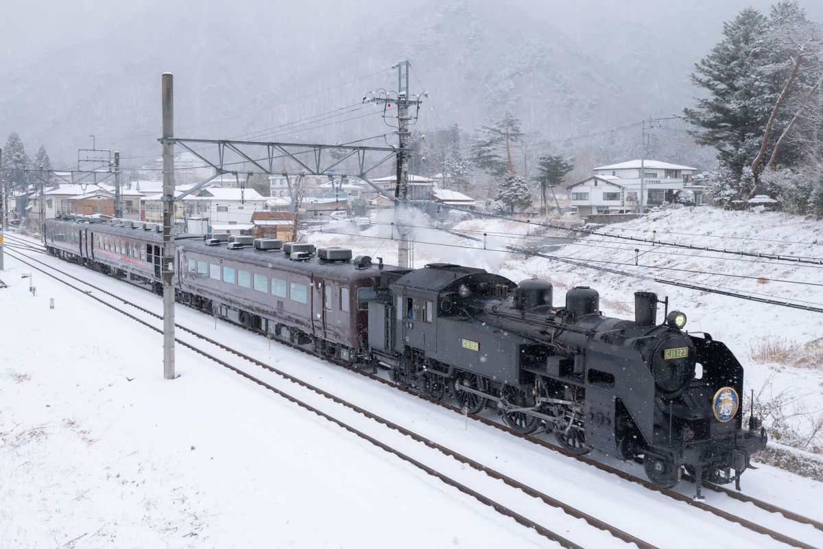 25.02.08-1 東武鬼怒川線 C11 123 SL大樹 | GANREF