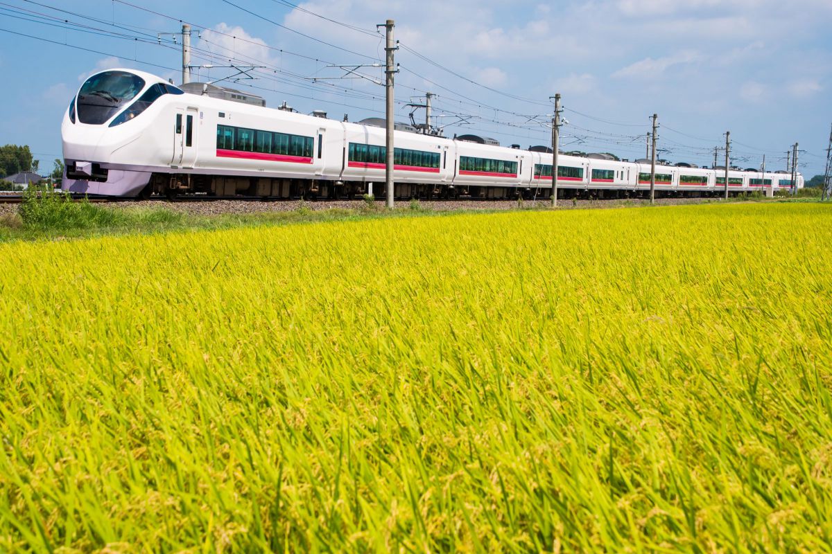 JR常磐線 E657系ときわ | GANREF