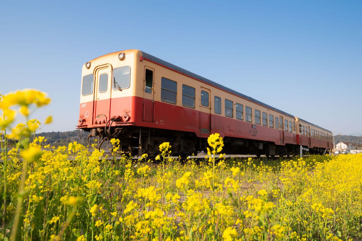 25.03.22-1 小湊鉄道 キハ200形 | GANREF