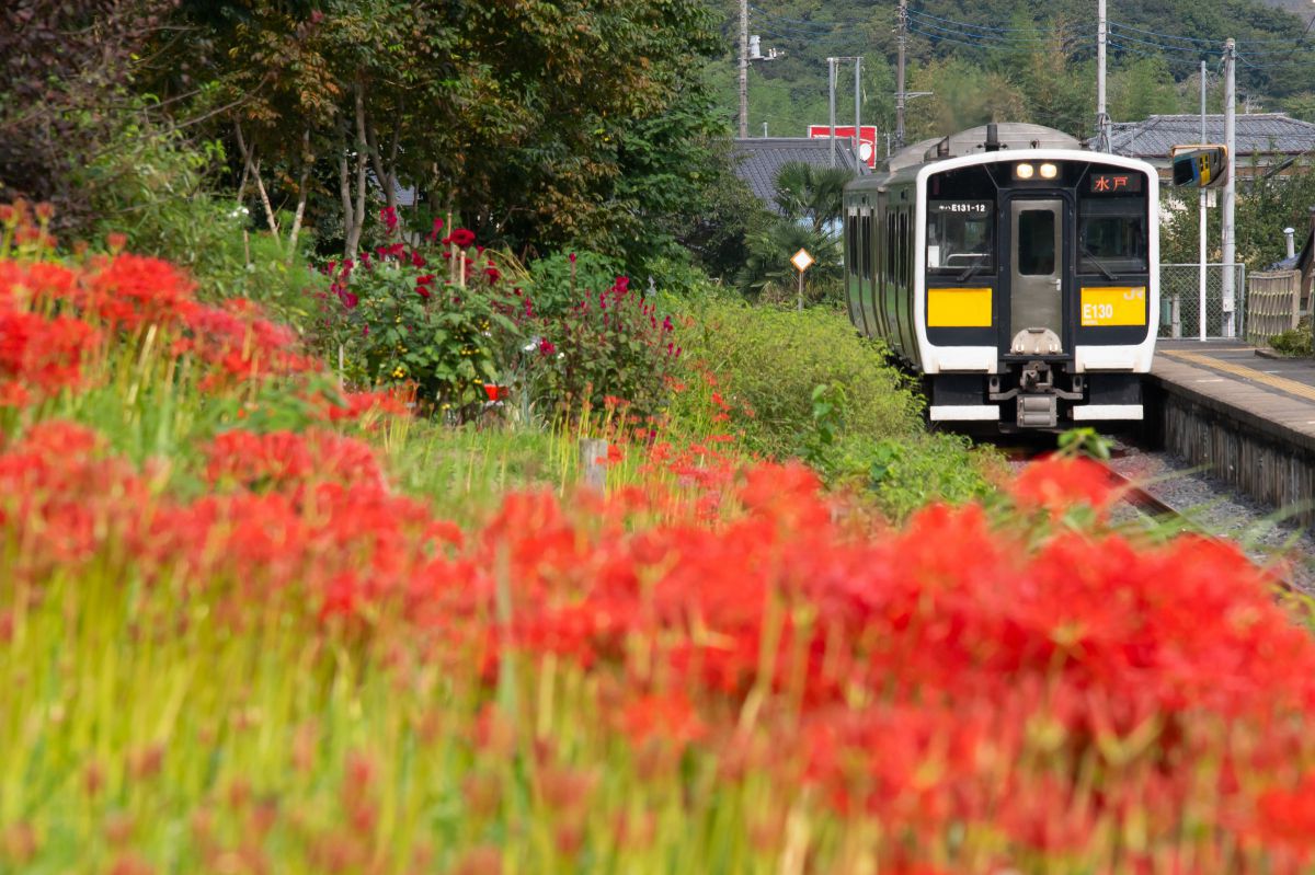 24.09.28-001 JR水郡線 キハE130系 | GANREF