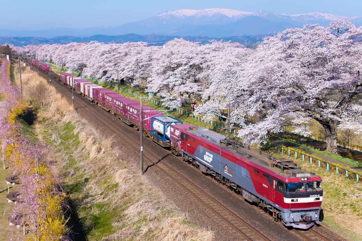 JR東北本線 EH500 (白石川堤一目千本桜2) | GANREF