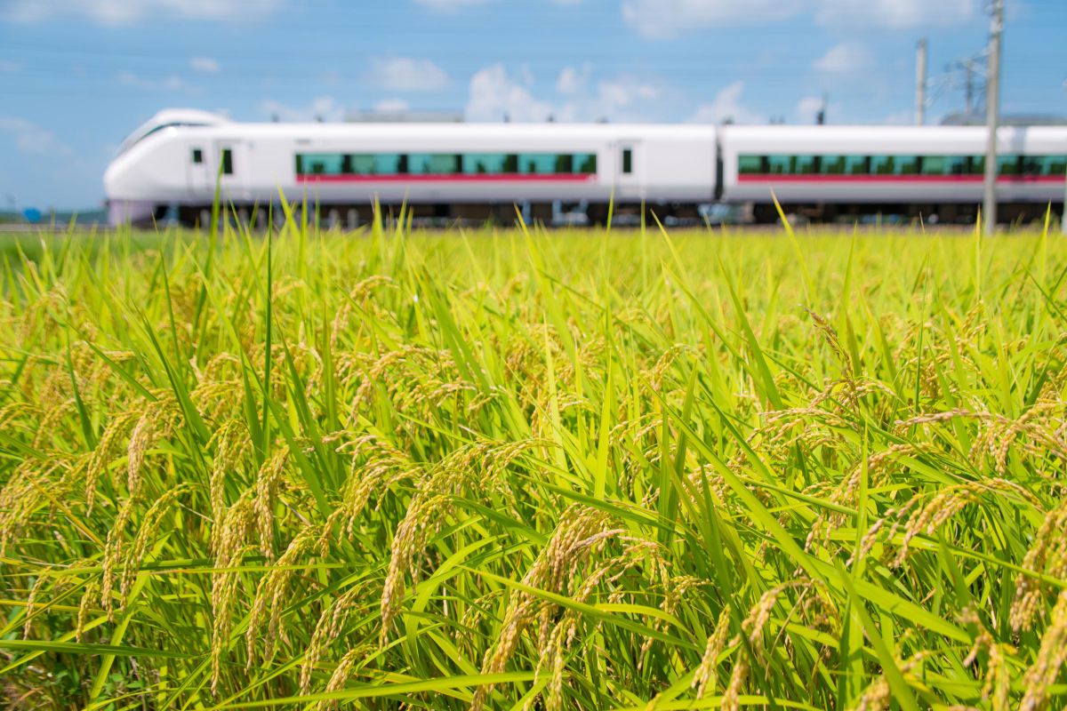 JR常磐線 E657系ひたち | GANREF