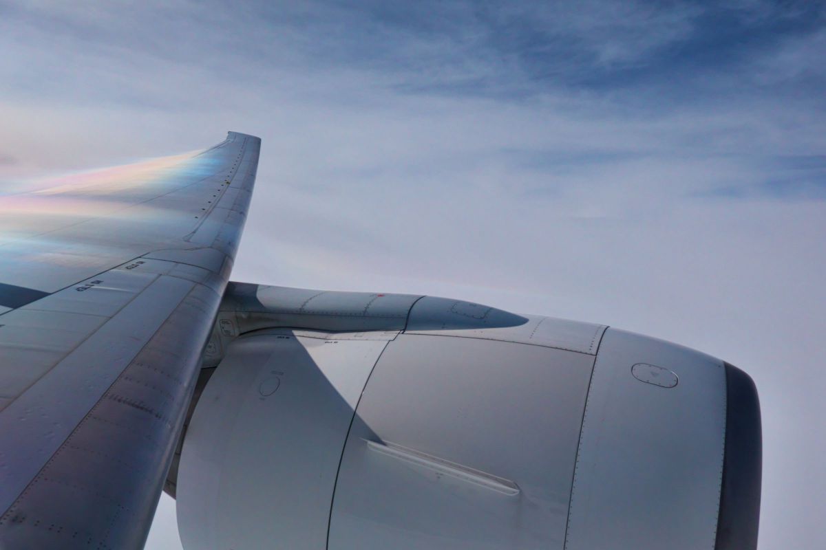 Rainbow Wing | GANREF