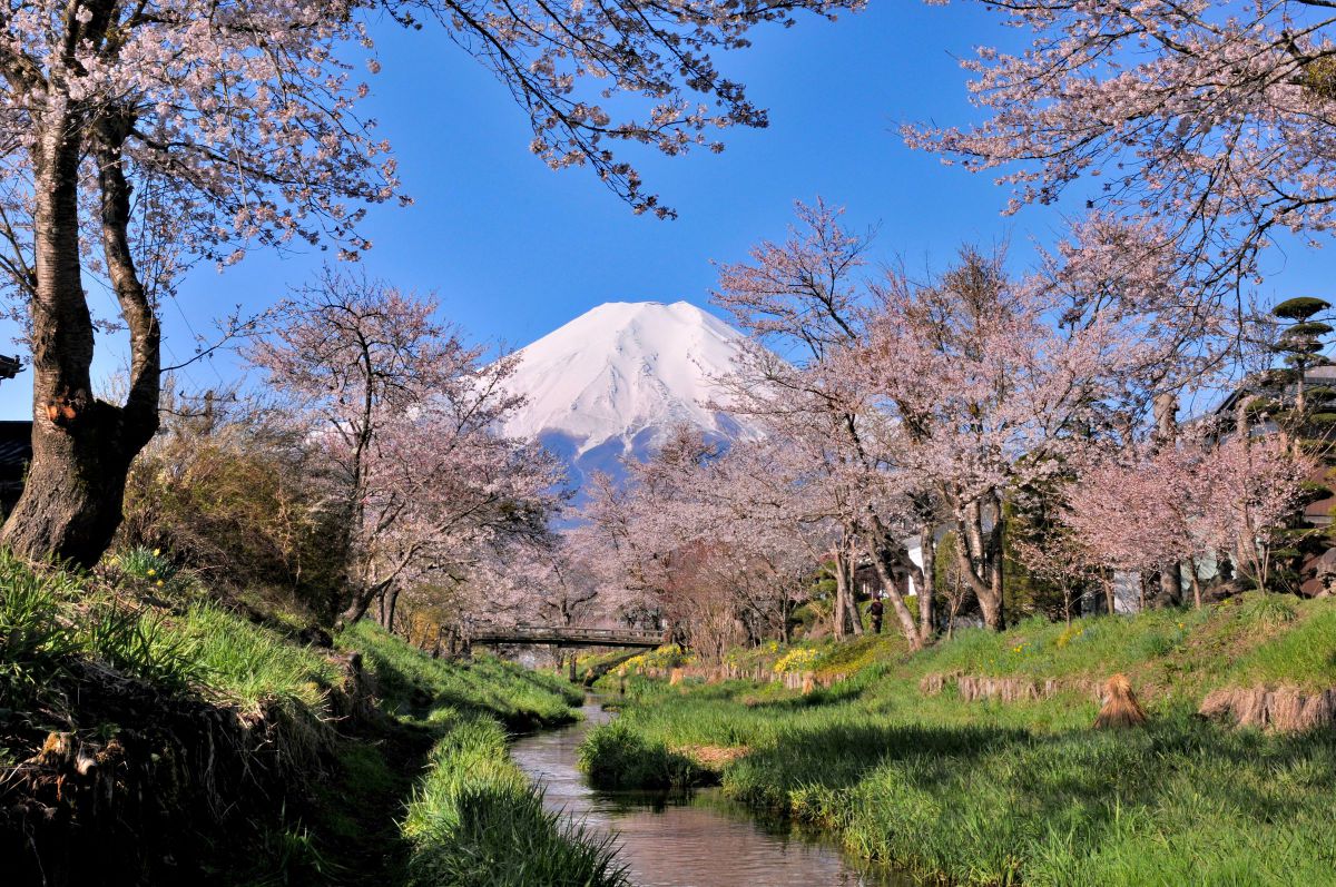 忍野村の春 | GANREF