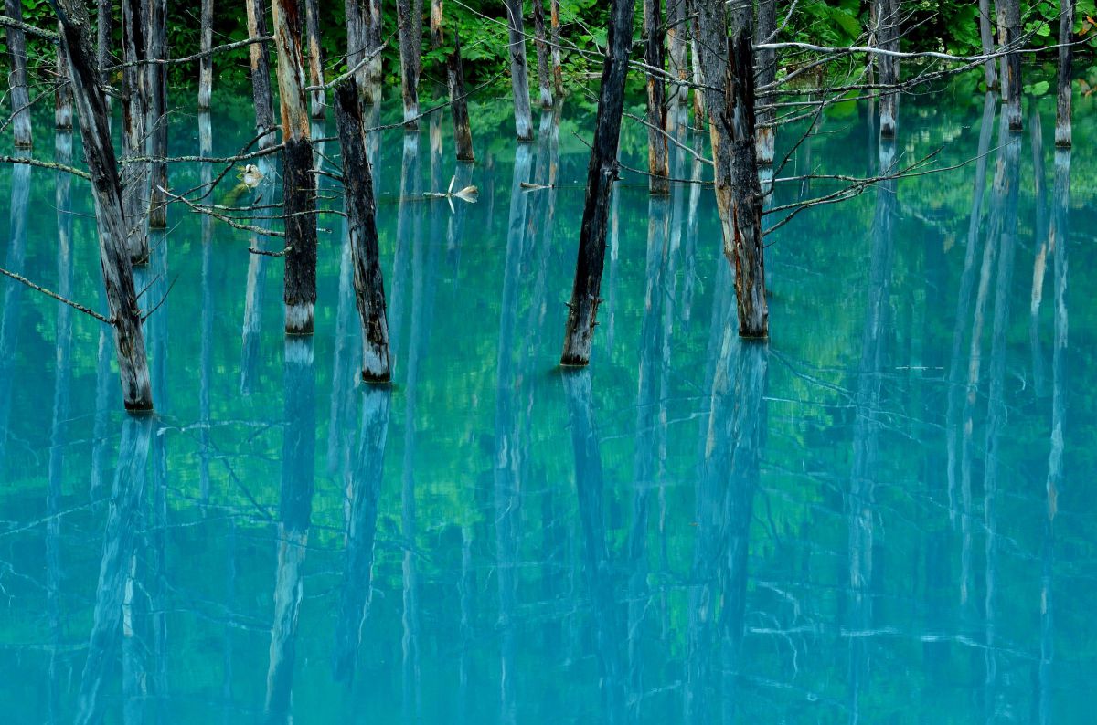 魅惑の青い池 | GANREF