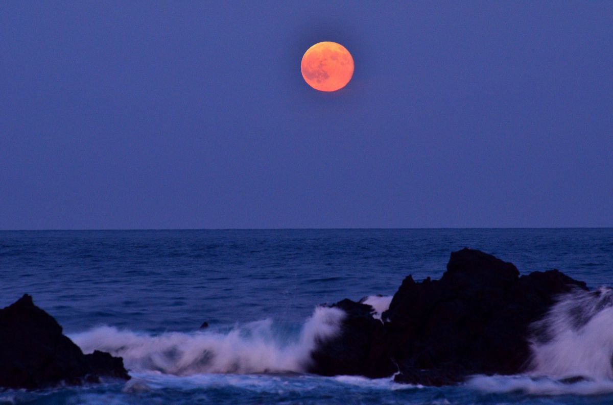 September Moon | GANREF