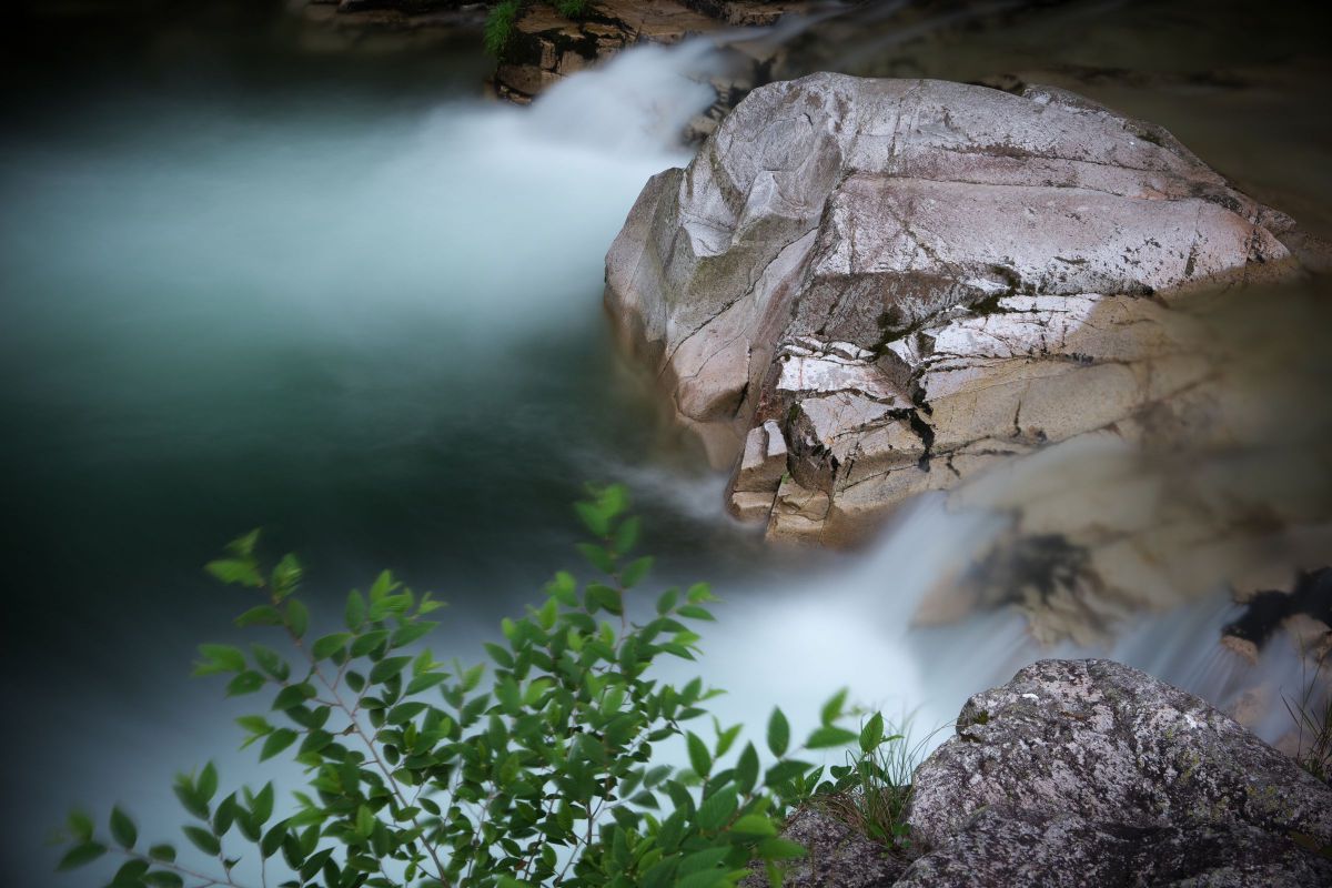 clear stream | GANREF