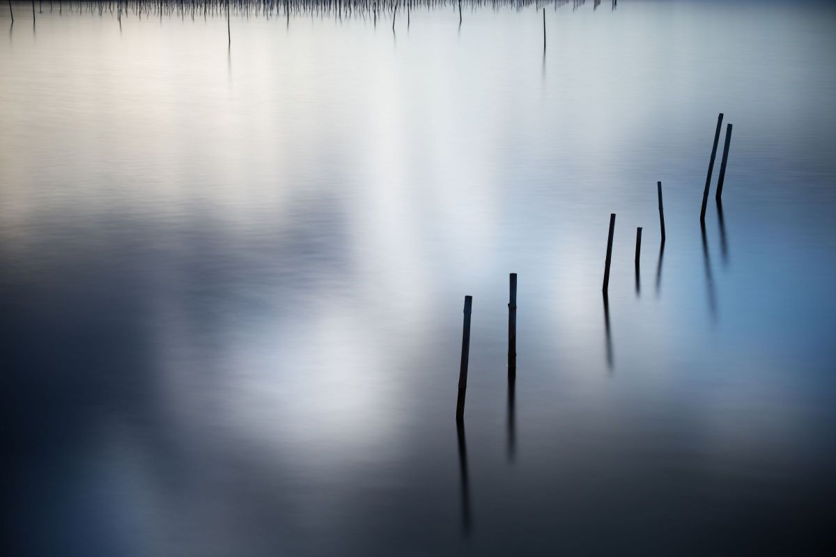 reflection #2 | GANREF