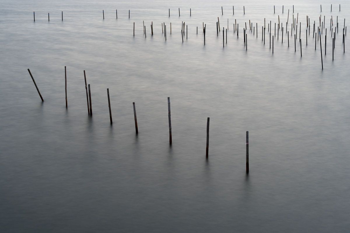 lots of sticks #2 | GANREF