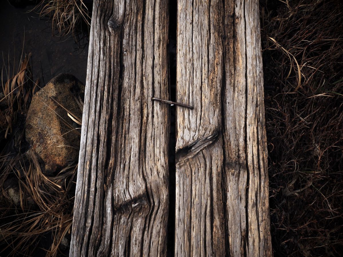 wooden path #2 | GANREF