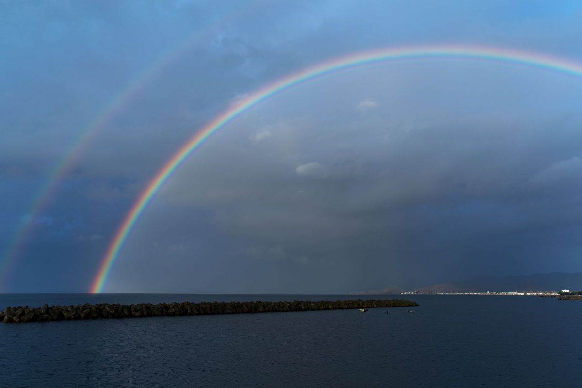 after the rain | GANREF