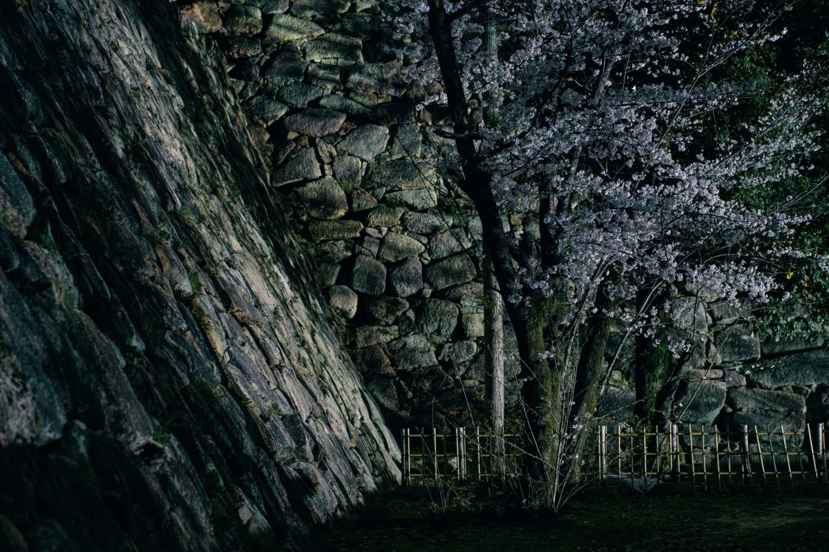 花と石垣の夜 | GANREF