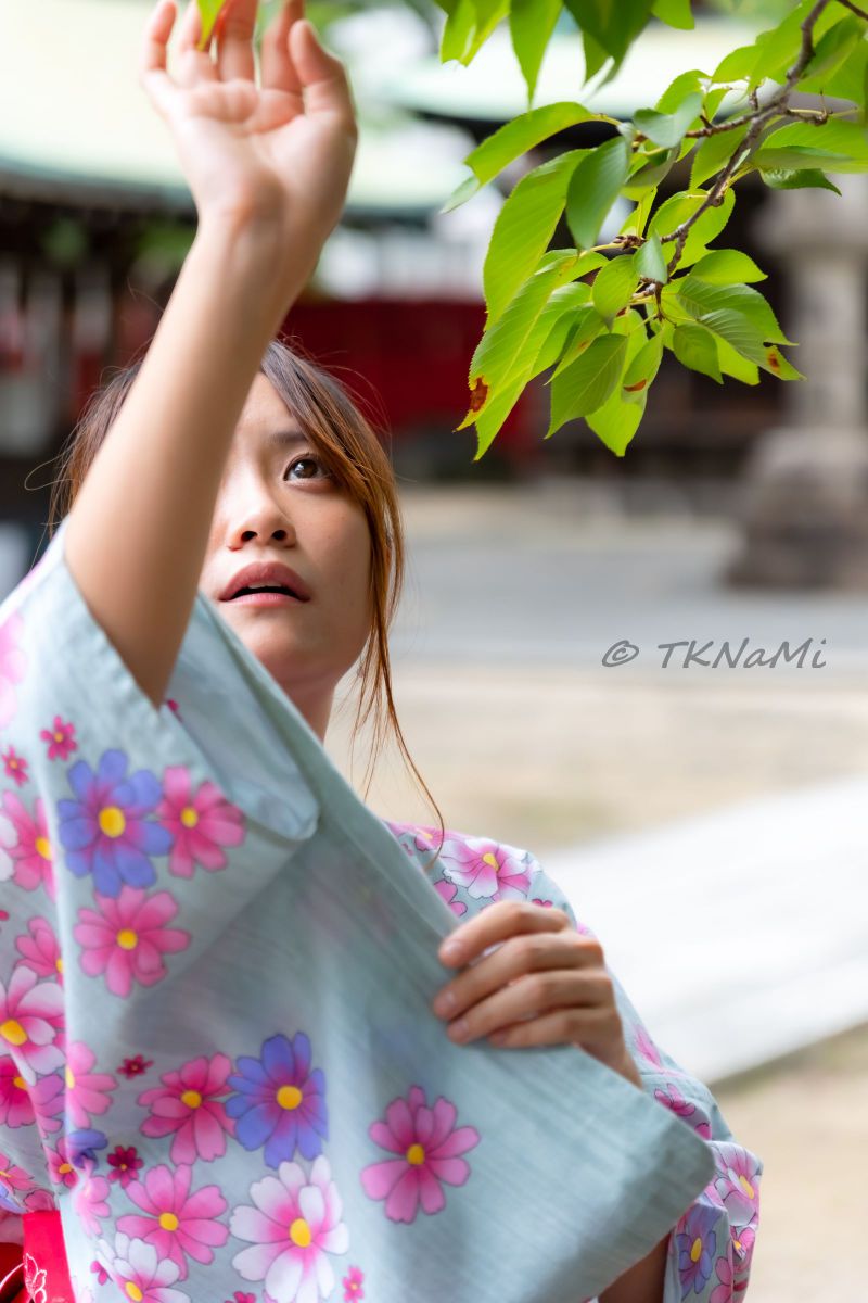 こいのみず 白石あかり 12 | GANREF