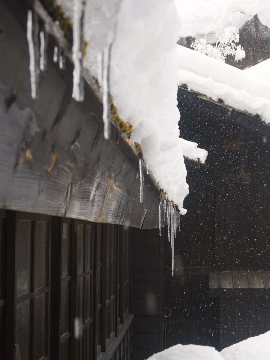 雪と屋根の攻防 | GANREF