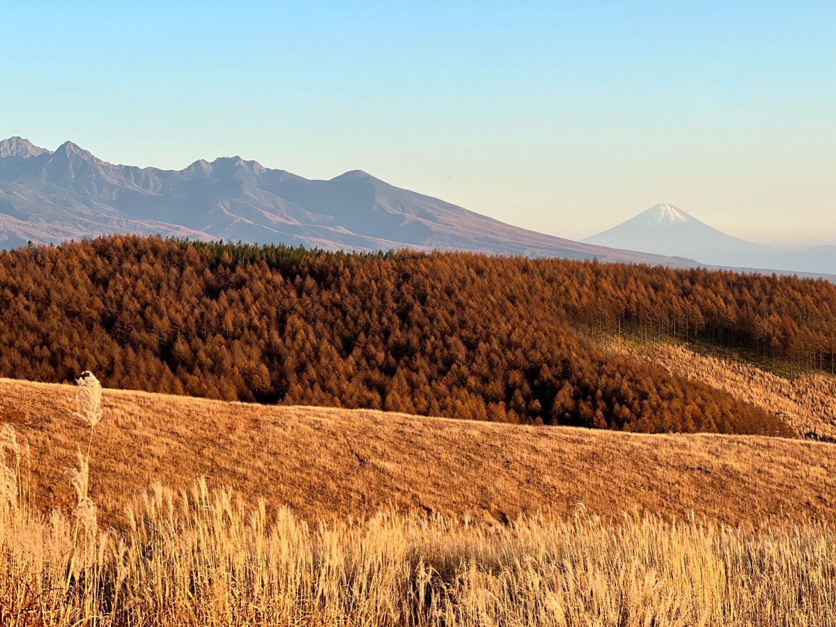 茶にも200色あんねん | GANREF