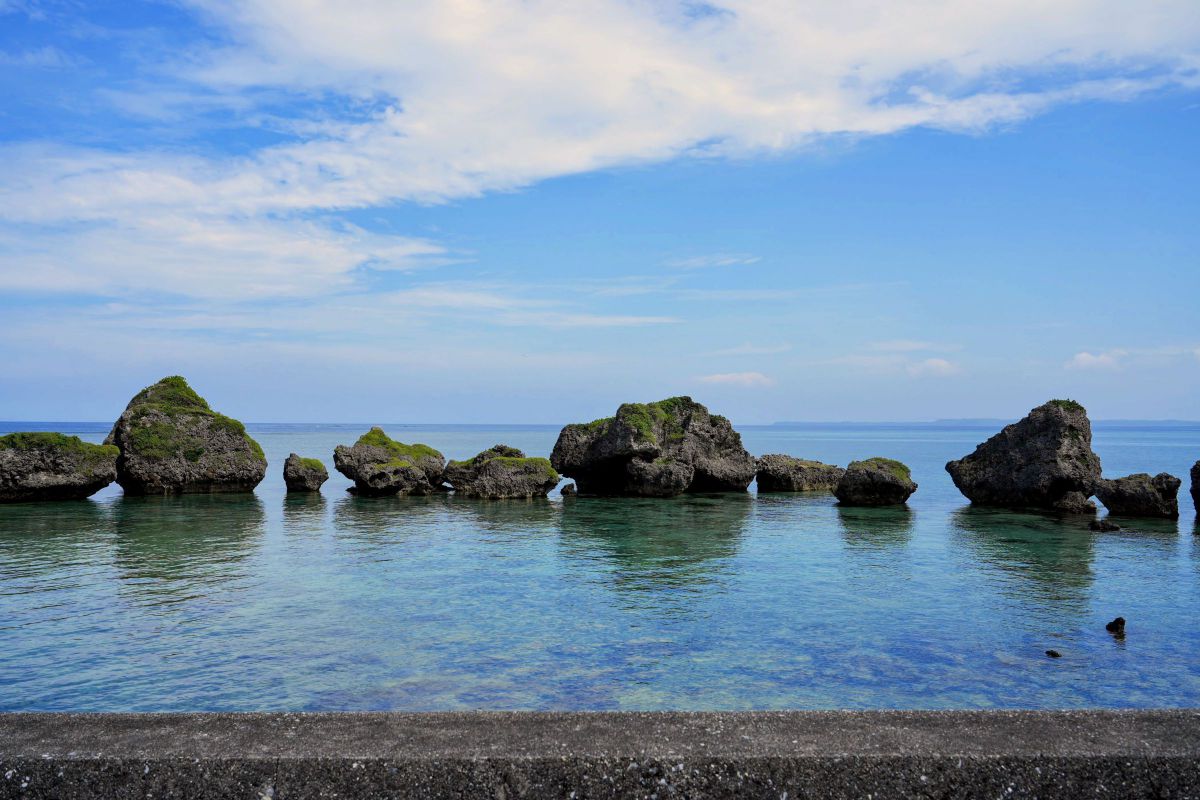 自由の中の規律 | GANREF