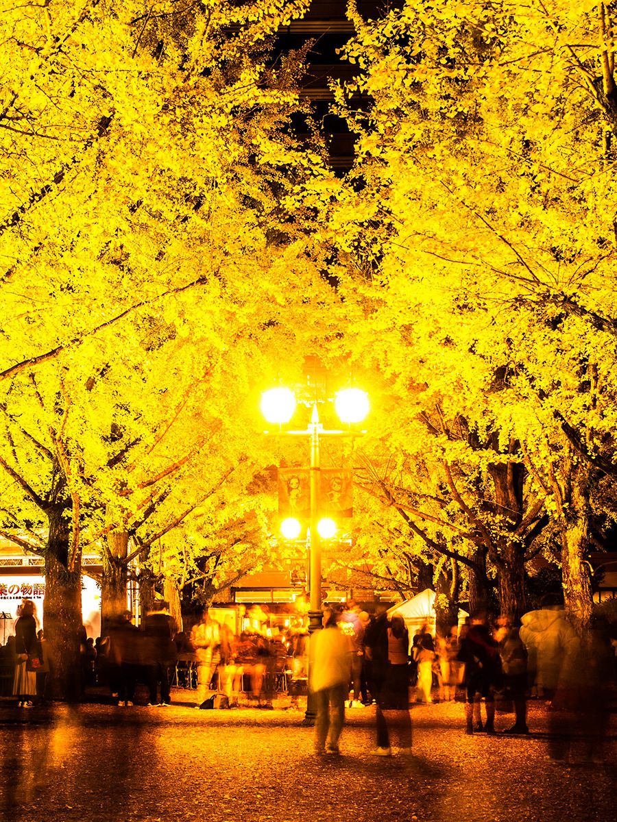 yellow night | GANREF
