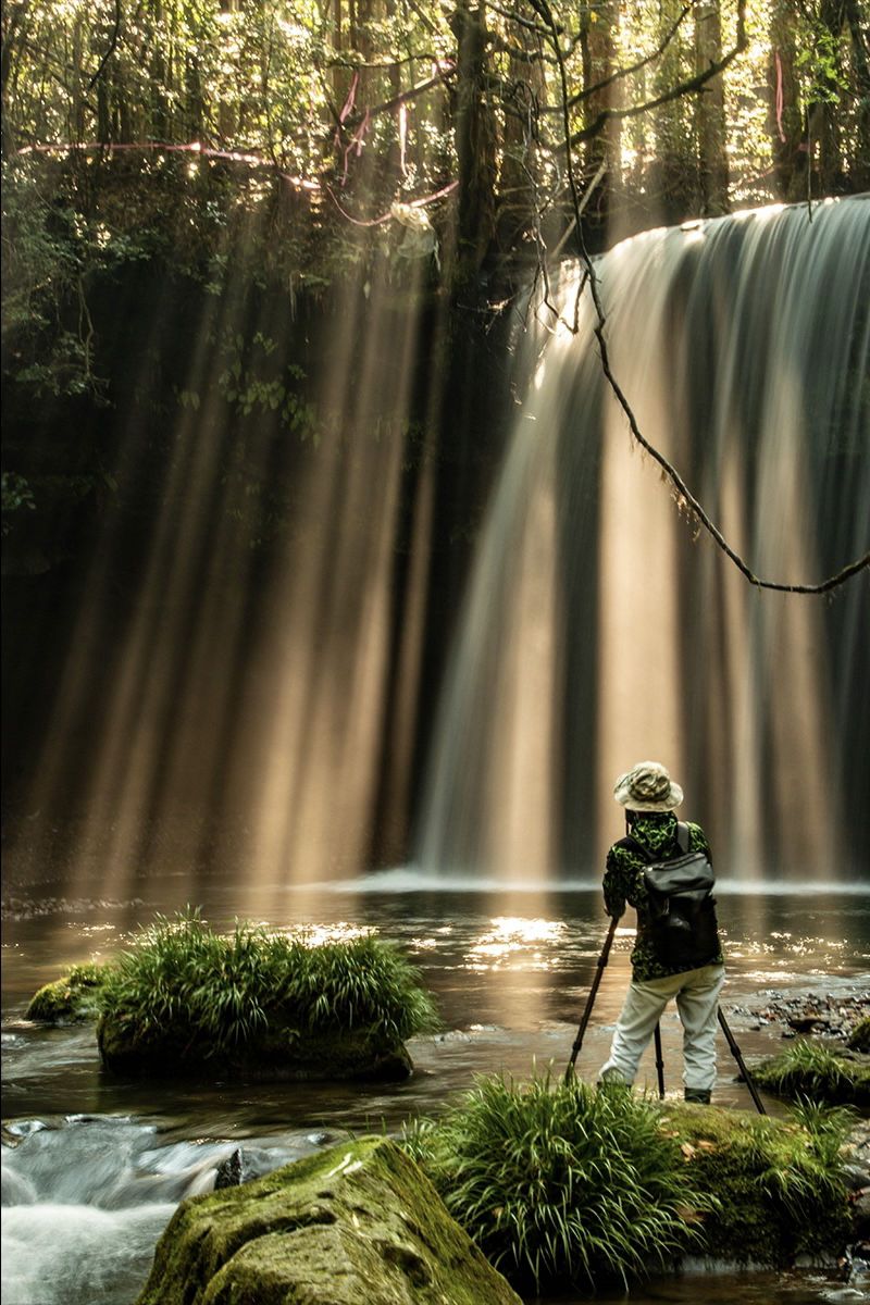 光芒hunter | GANREF