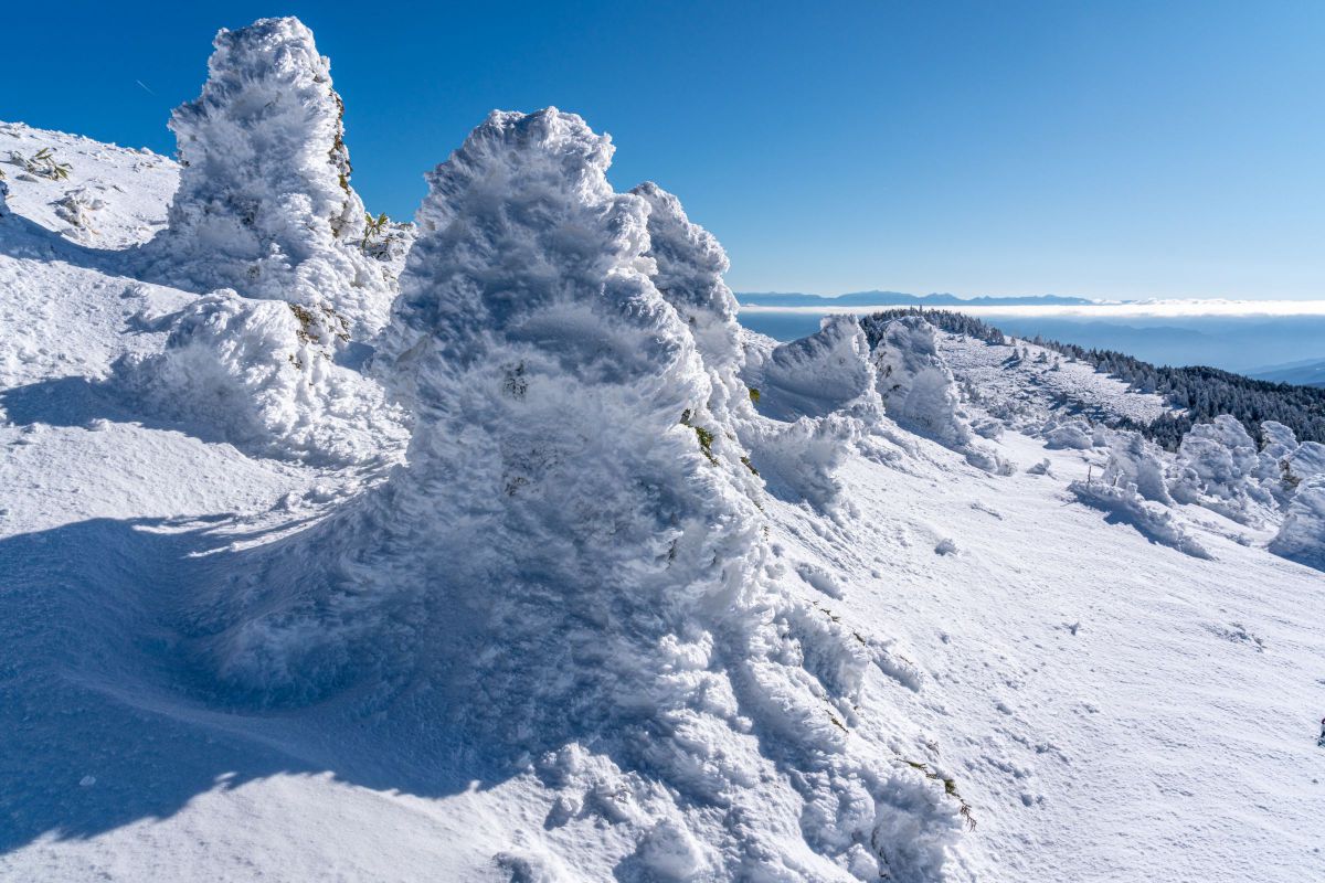 プチスノーモンスター | GANREF