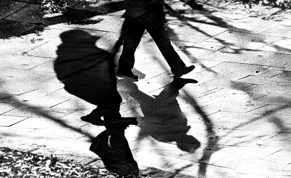 Intersection of shadows | GANREF