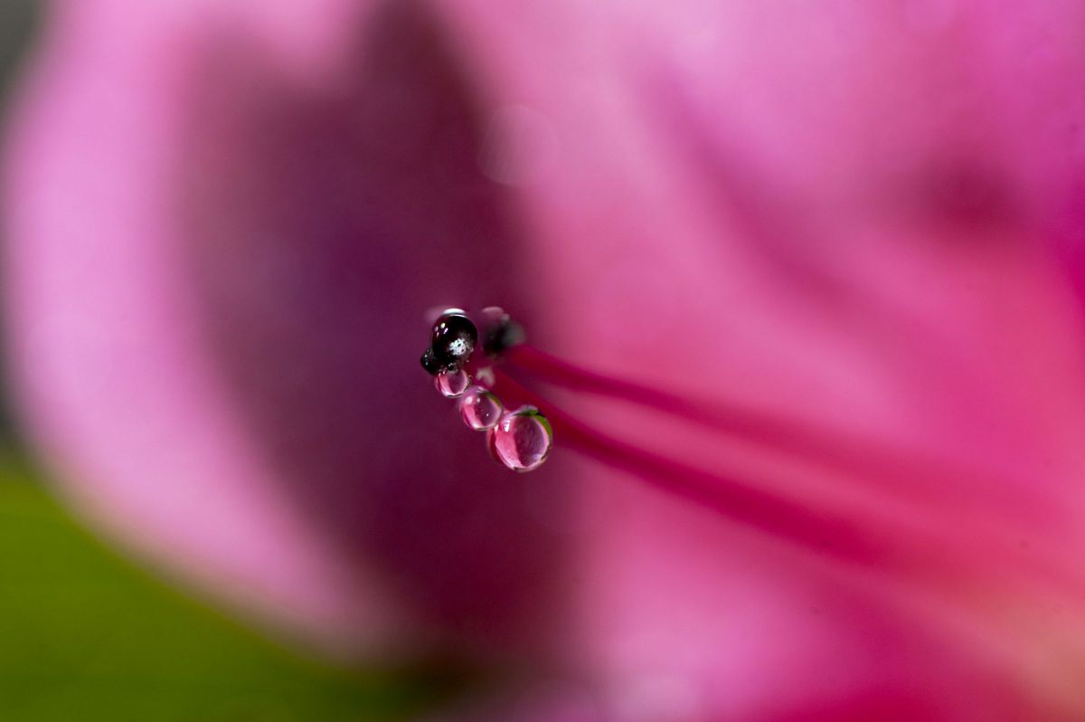 beautiful person`s tears | GANREF