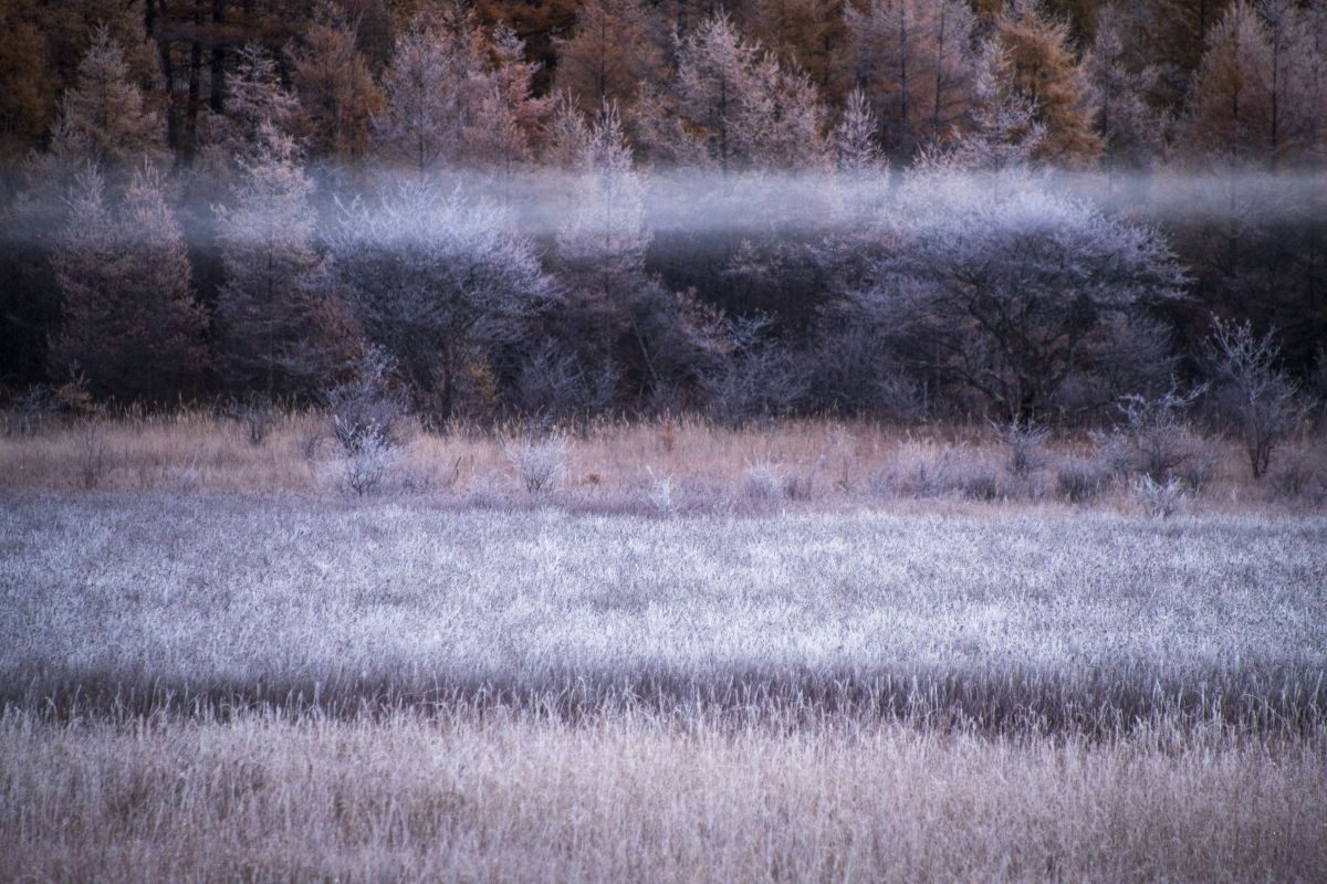 Sign of wake up | GANREF