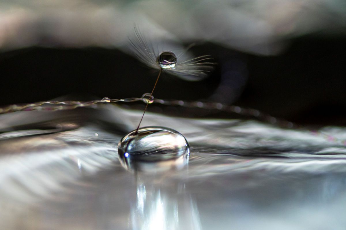 Water stone | GANREF