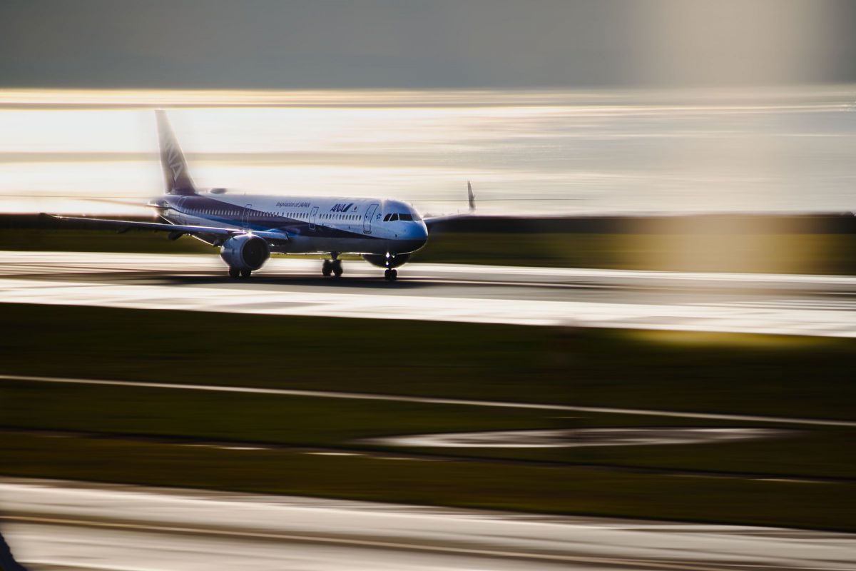 fly into the light | GANREF