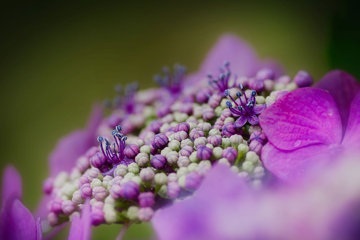 jewelry box | GANREF