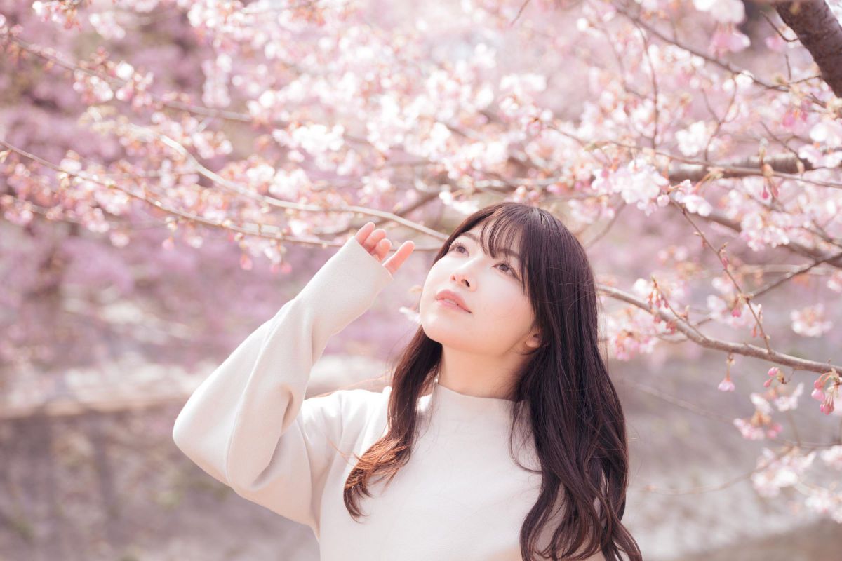 SAKURA | GANREF