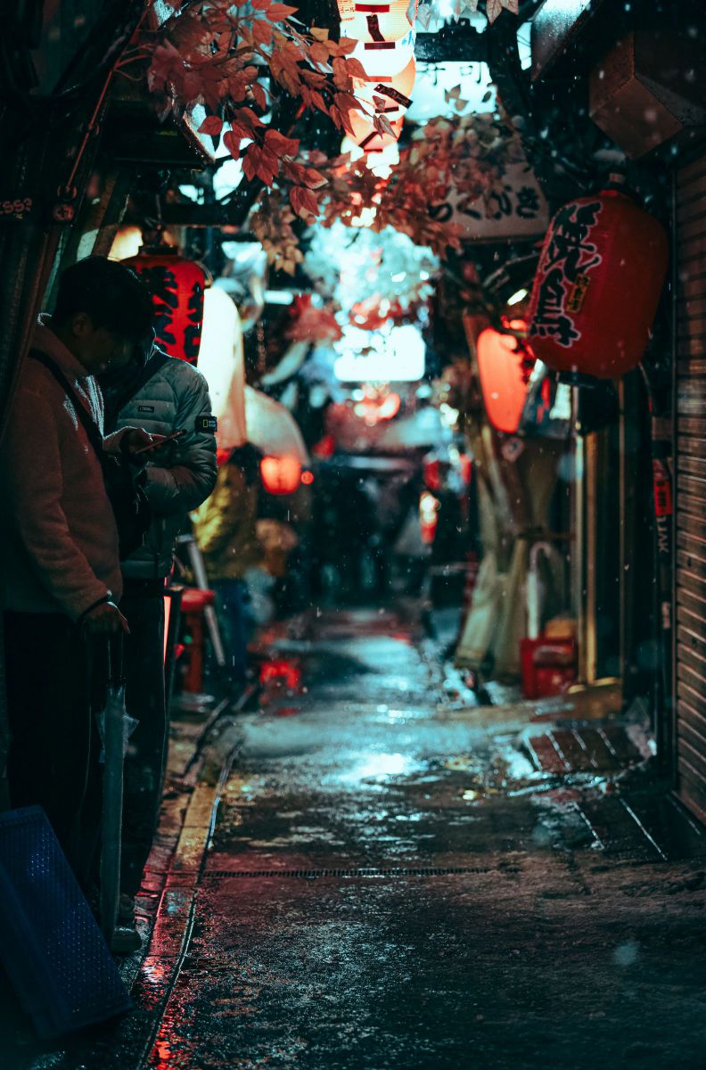 雪の思い出横丁 夜ver. | GANREF